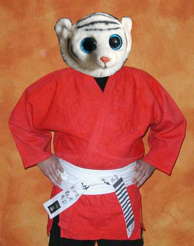 Rank and Title Mythology – Truth about a 10th Dan – WHITE TIGER MARTIAL ...